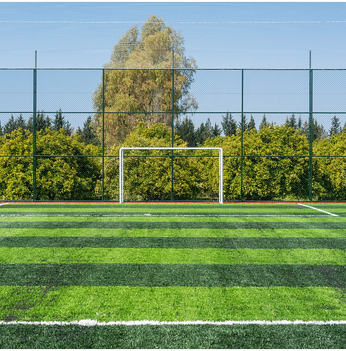 International Sports Group | Sports Infrastructure Solutions